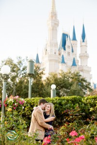 Magic Kingdom Proposal Photographers | Disney World Fairytale Surprise ...