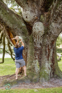 Loch Haven Park Mayor Tree Family Photographer