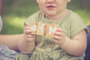 Loch Haven Park Mayor Tree Family Photographer