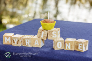 Loch Haven Park Mayor Tree Family Photographer