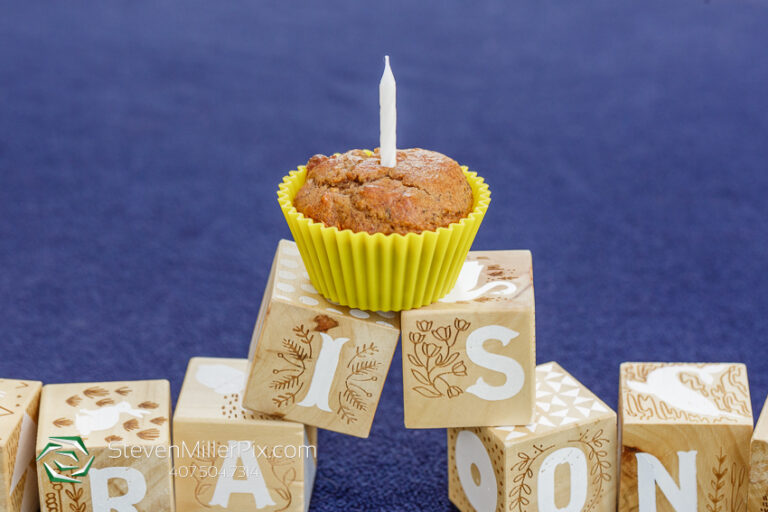 Loch Haven Park Mayor Tree Family Photographer